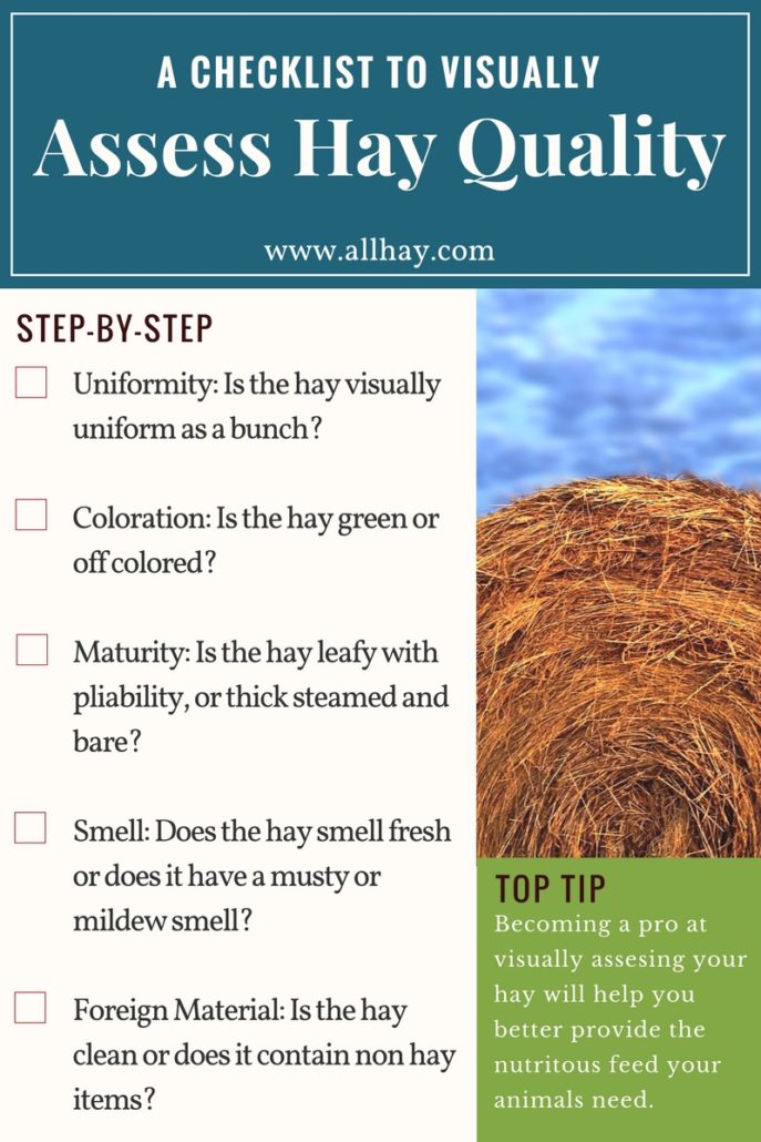 How To Visually Determine The Quality of Your Hay - AllHay.com