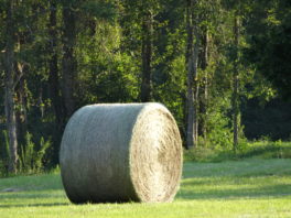 Hay Brokers | Buy and Sell Hay | AllHay.com