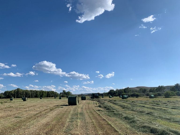 Hay Bales | Buy and Sell Hay | Hay Brokers | AllHay.com