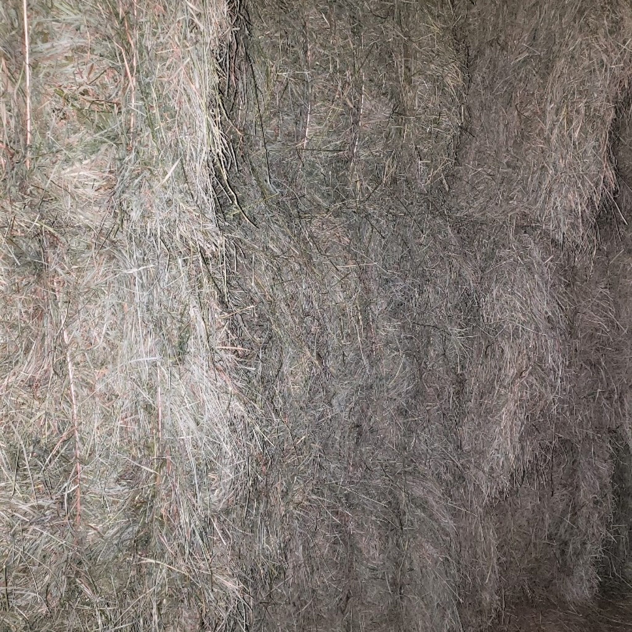 Hay For Sale in Michigan - AllHay.com