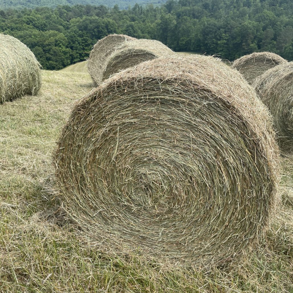 Hay For Sale in North Carolina - AllHay.com