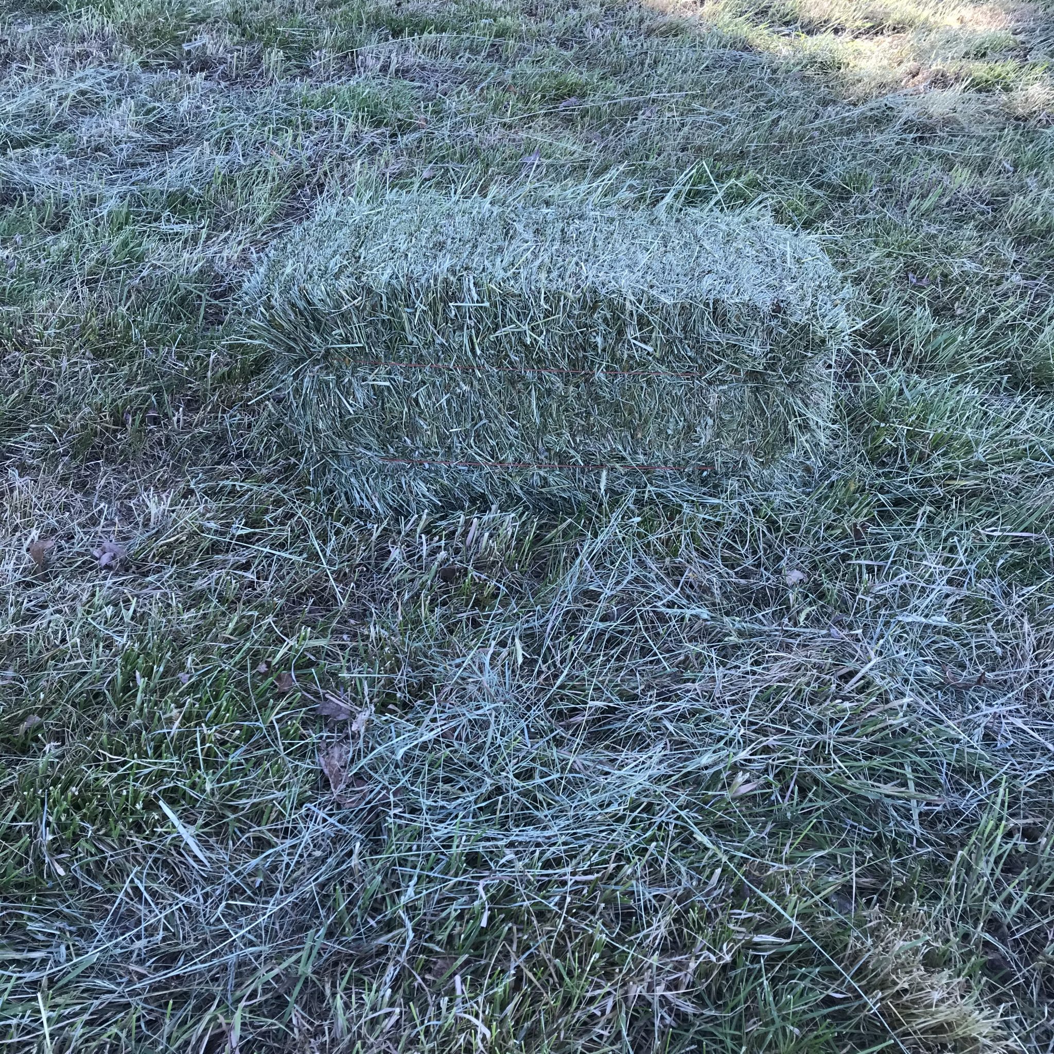 Hay For Sale in Virginia - AllHay.com