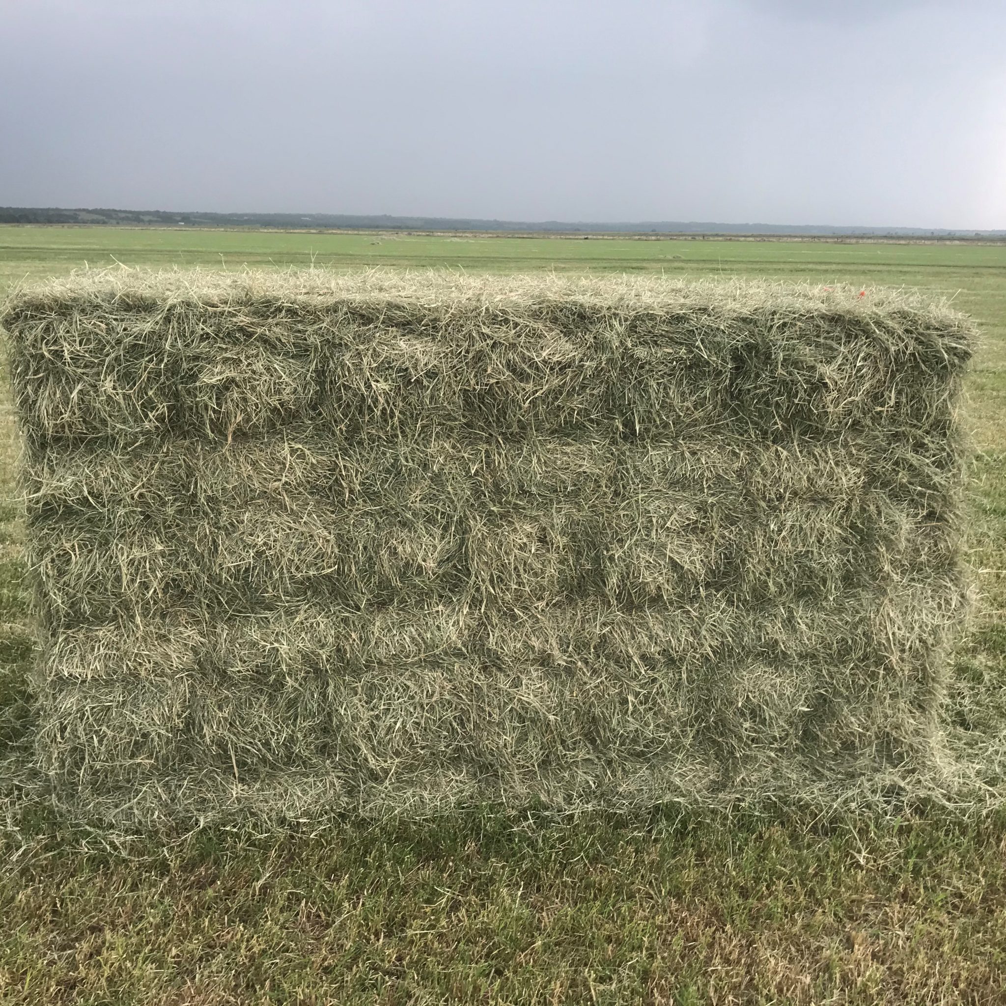 Hay For Sale in Texas - AllHay.com