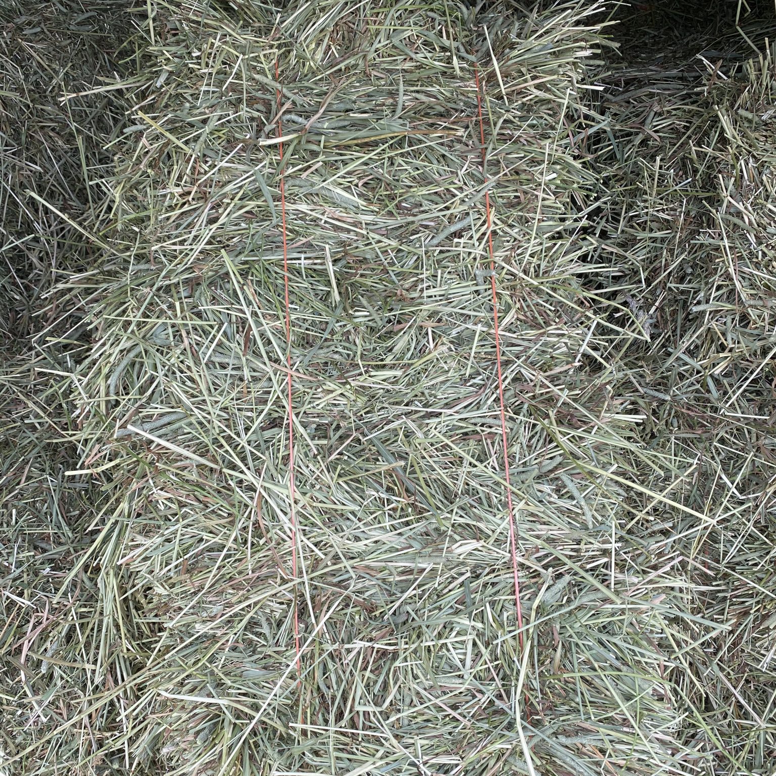 Alfalfa Grass Mix For Sale | Allhay.Com