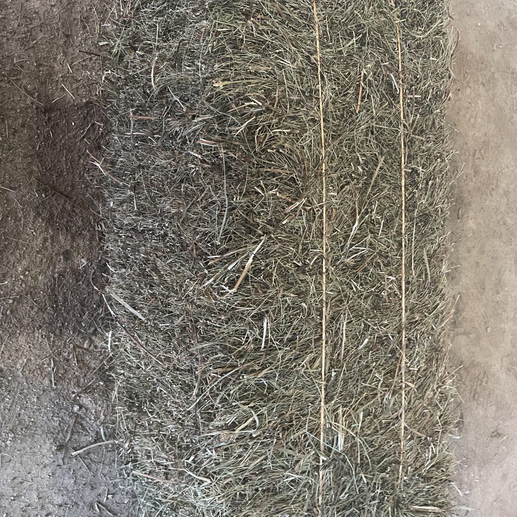 Alfalfa Grass Mix For Sale | Allhay.Com