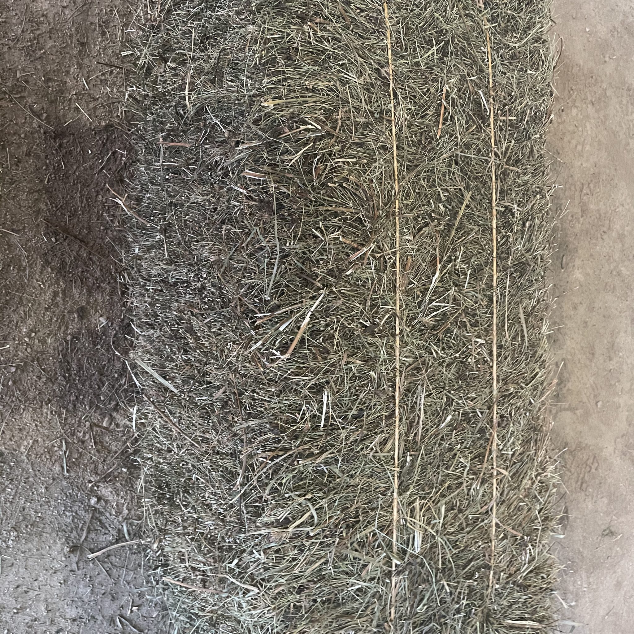 Hay For Sale in Illinois - AllHay.com
