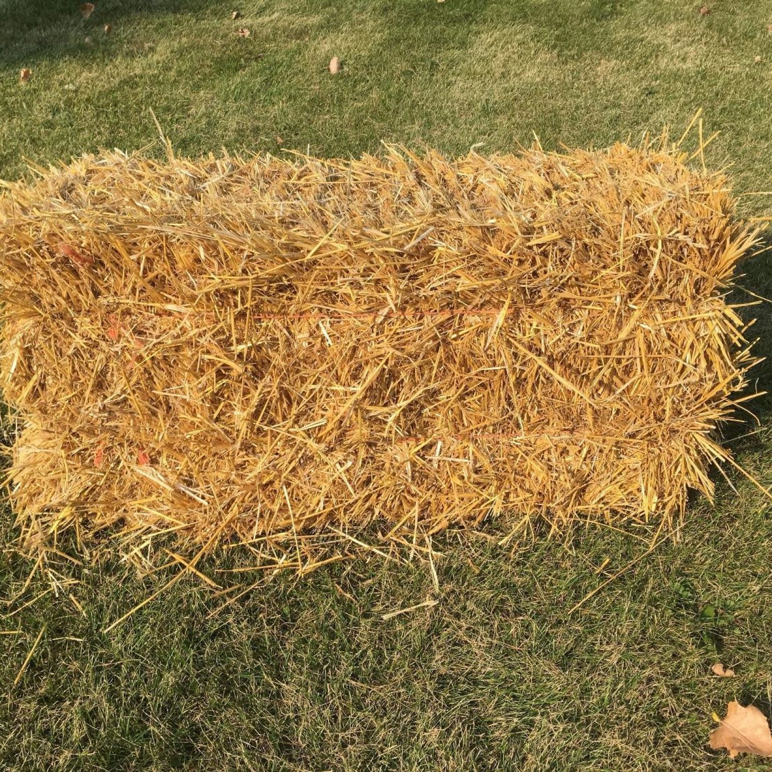 Wheat Hay For Sale | Allhay.Com
