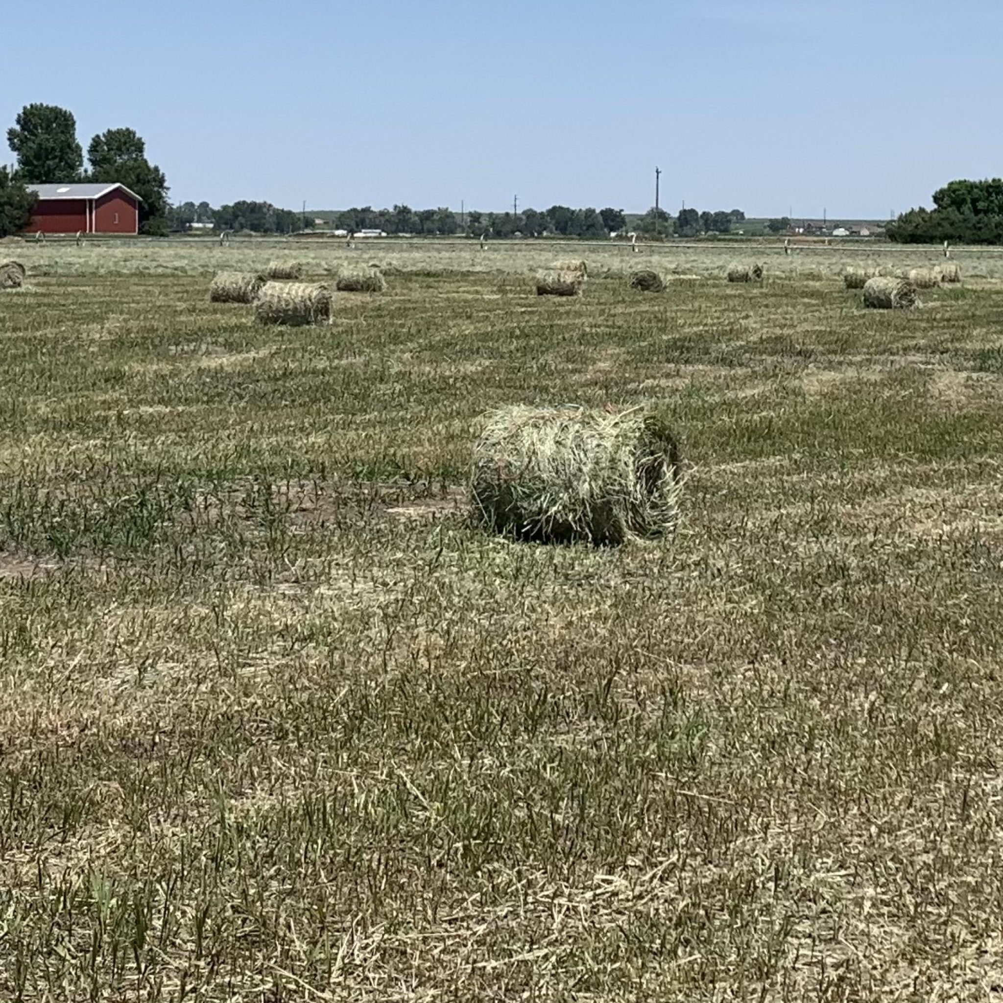 Hay For Sale in Colorado - AllHay.com