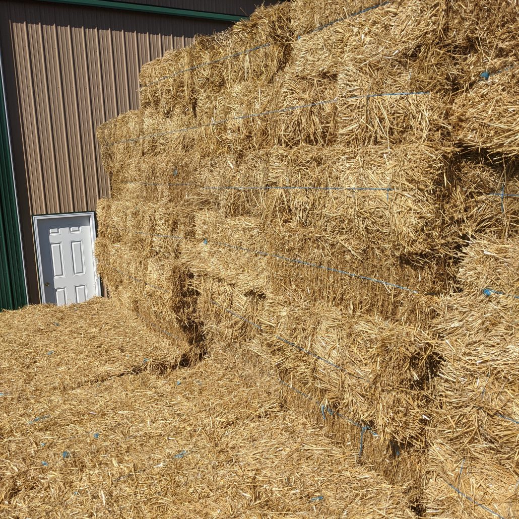Wheat Hay For Sale | Allhay.Com