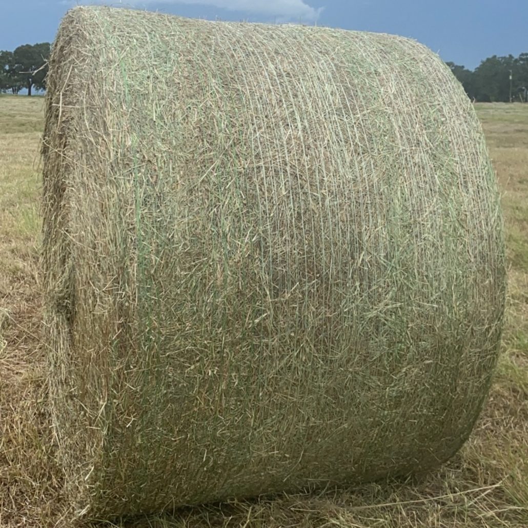 Hay For Sale in Texas - AllHay.com