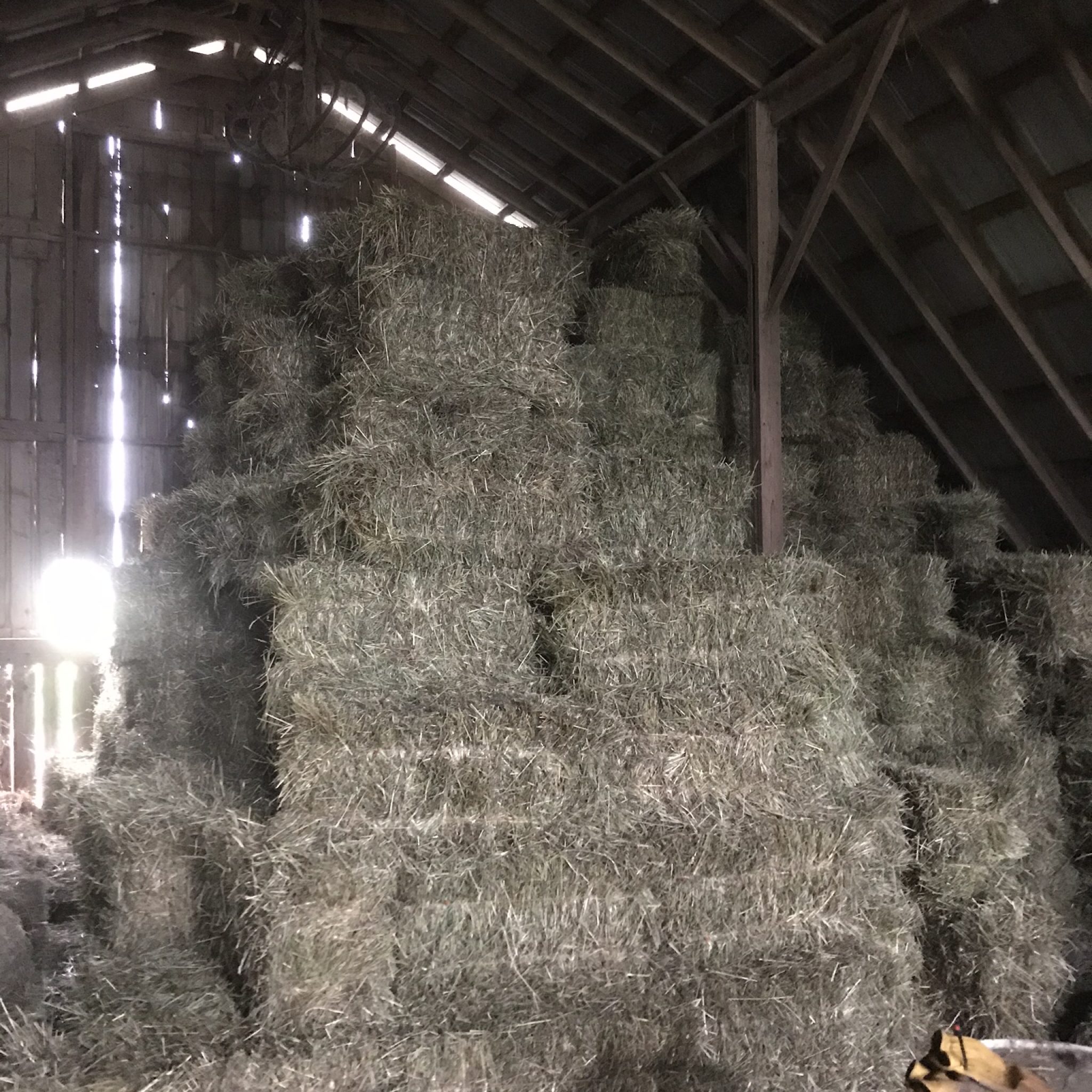 Hay For Sale in Ohio - AllHay.com