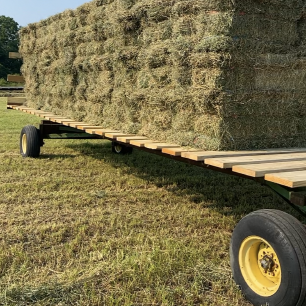 Alfalfa Grass Mix For Sale | Allhay.Com