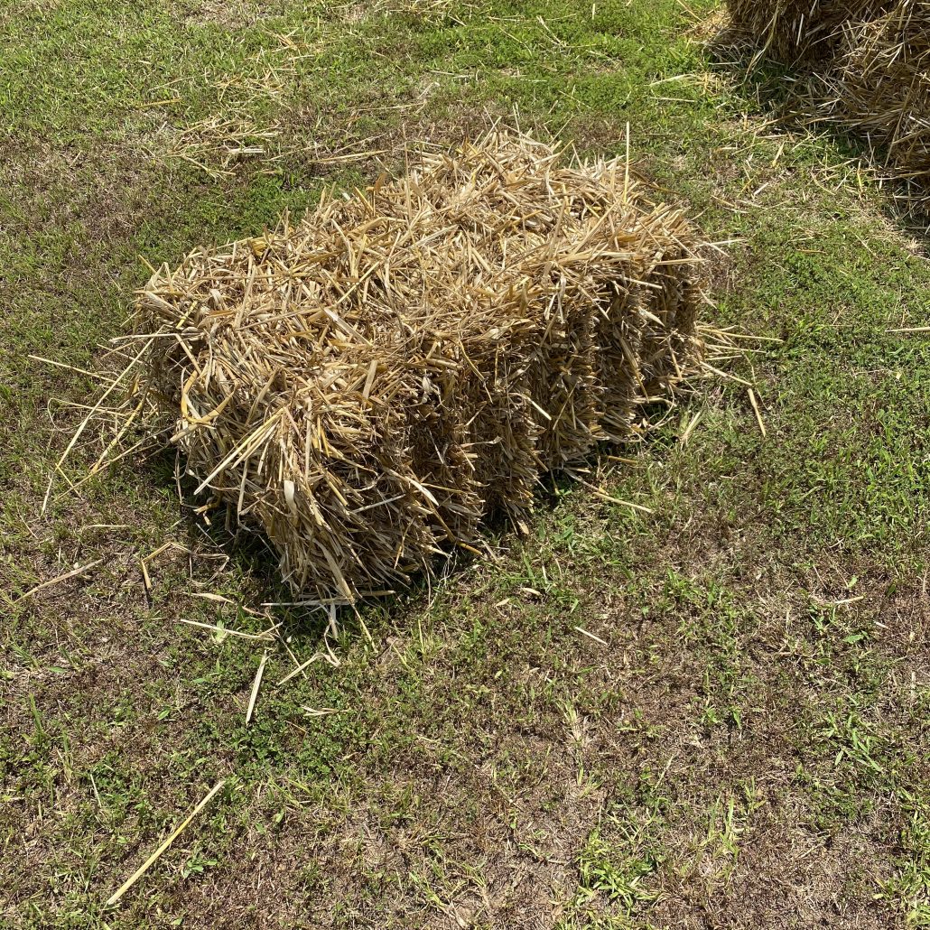 Hay For Sale in Alabama - AllHay.com