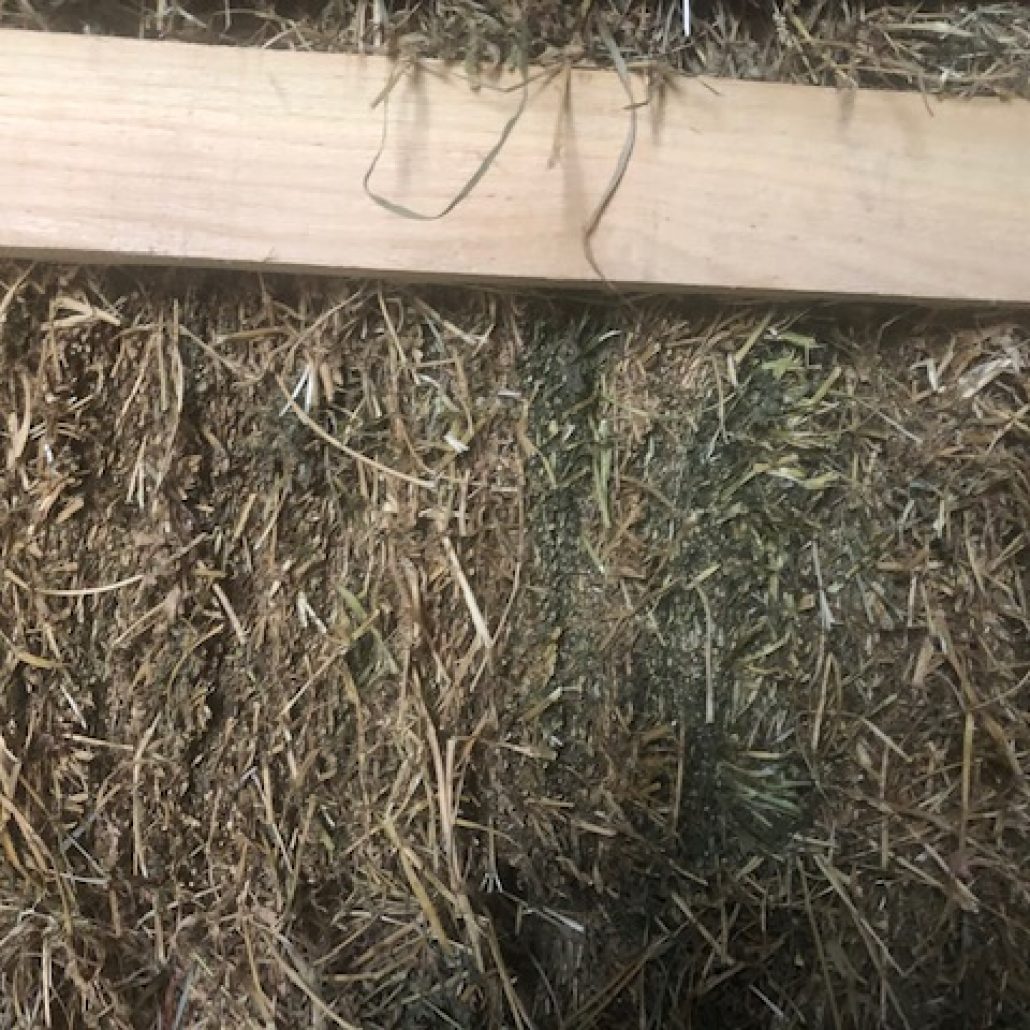 Alfalfa Grass Mix For Sale | Allhay.Com