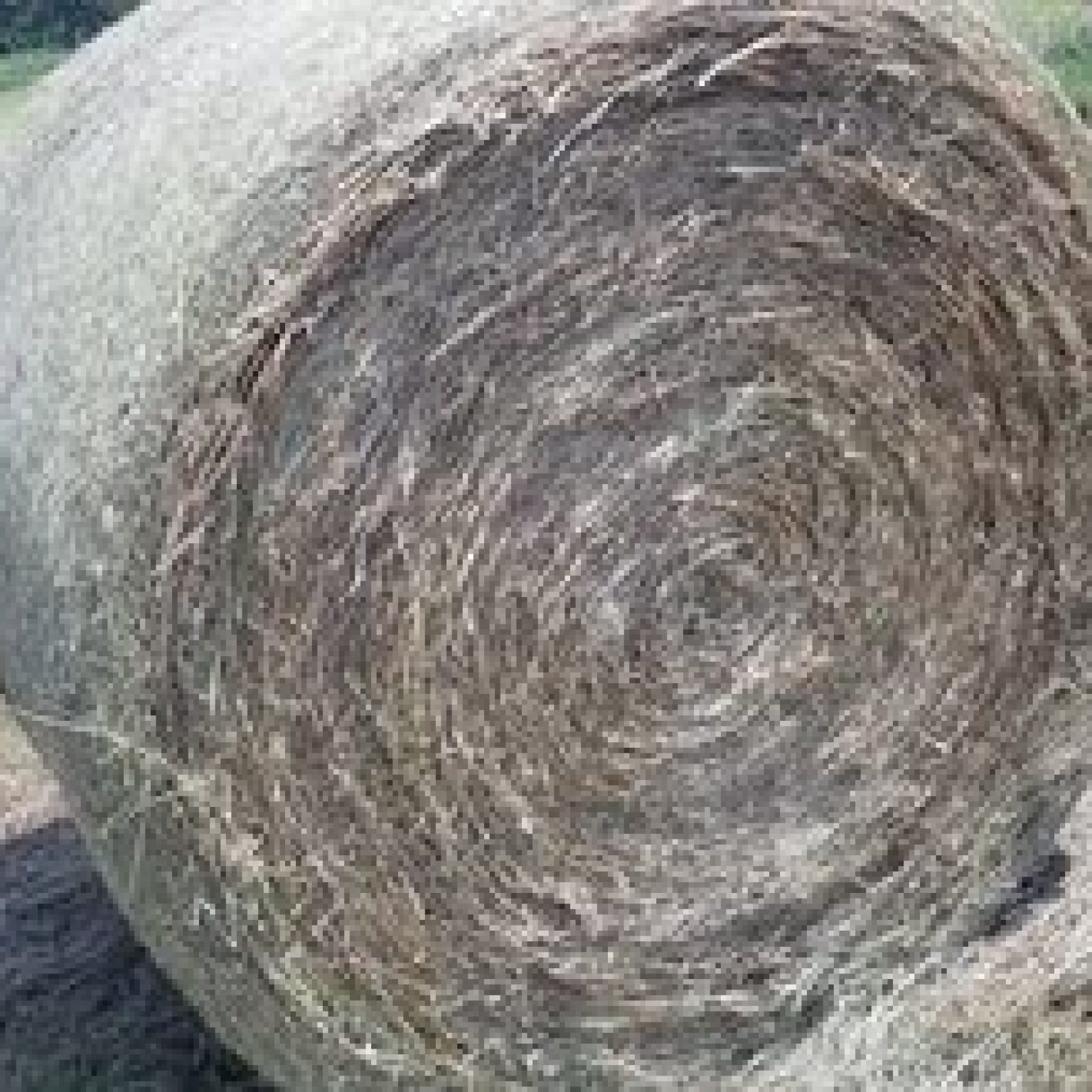 Prairie Meadow Grass Hay For Sale | Allhay.Com