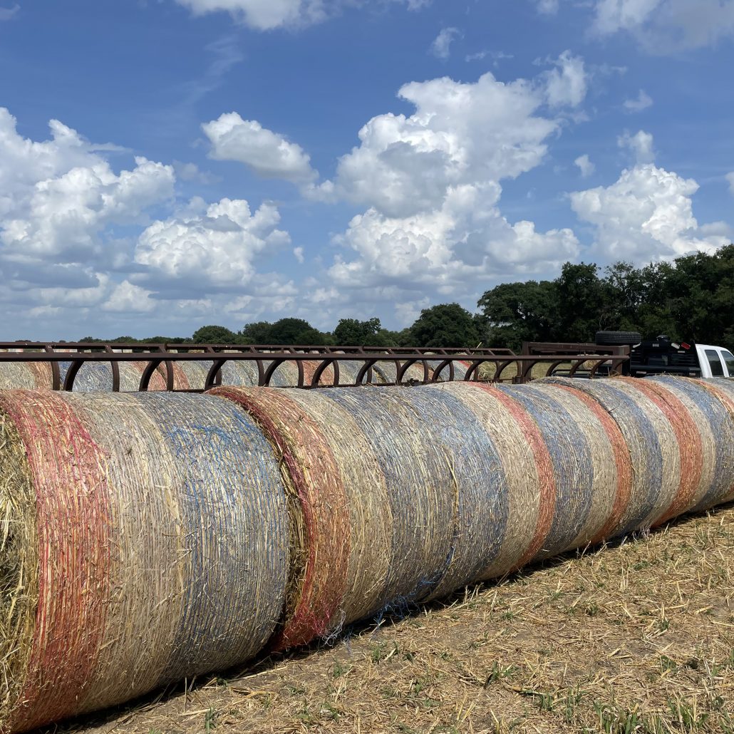 Hay For Sale in Texas - AllHay.com