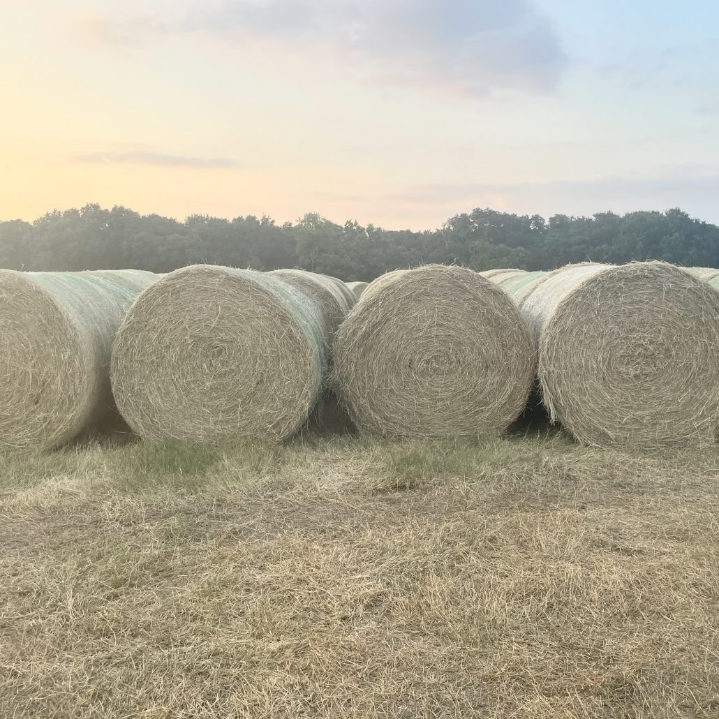 Hay For Sale in Texas - AllHay.com