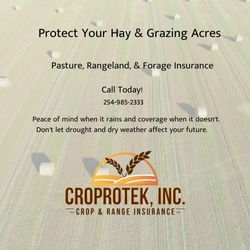 Hay Brokers | Buy and Sell Hay | AllHay.com
