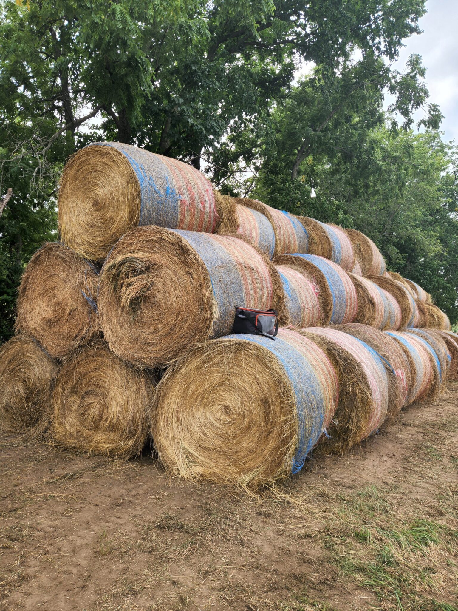 Hay Listings Archive - AllHay.com
