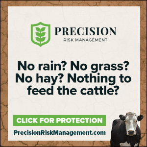 Hay Brokers | Buy and Sell Hay | AllHay.com