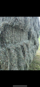 Hay For Sale in Ohio - AllHay.com