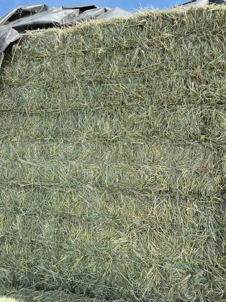 Hay For Sale in Colorado - AllHay.com