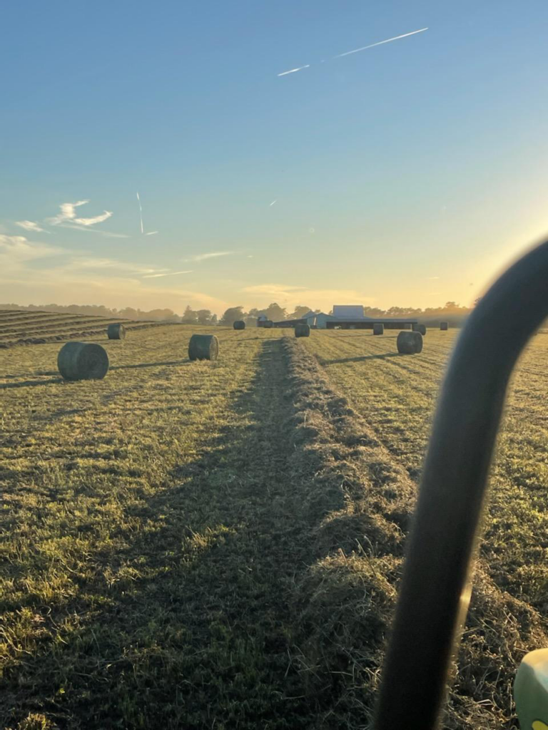 Hay For Sale in Ohio - AllHay.com
