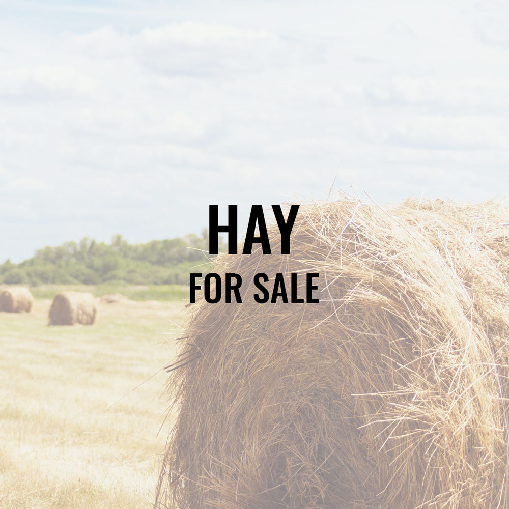 Hay Brokers | Buy and Sell Hay | AllHay.com