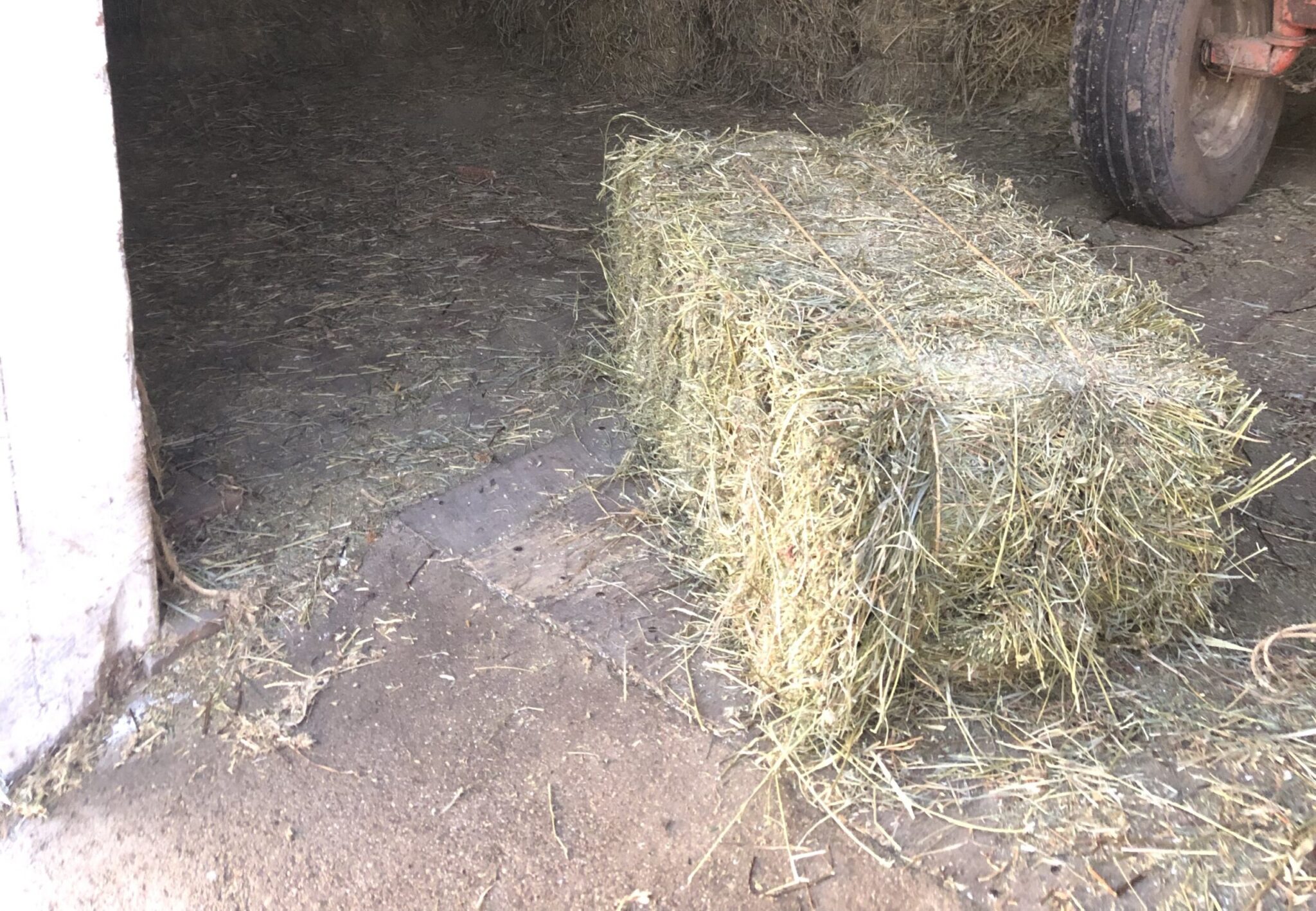 Hay Listings - AllHay.com