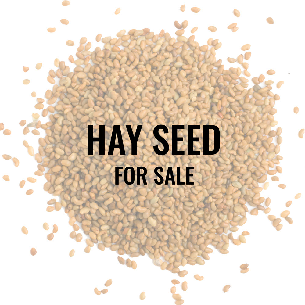 Hay Brokers | Buy and Sell Hay | AllHay.com