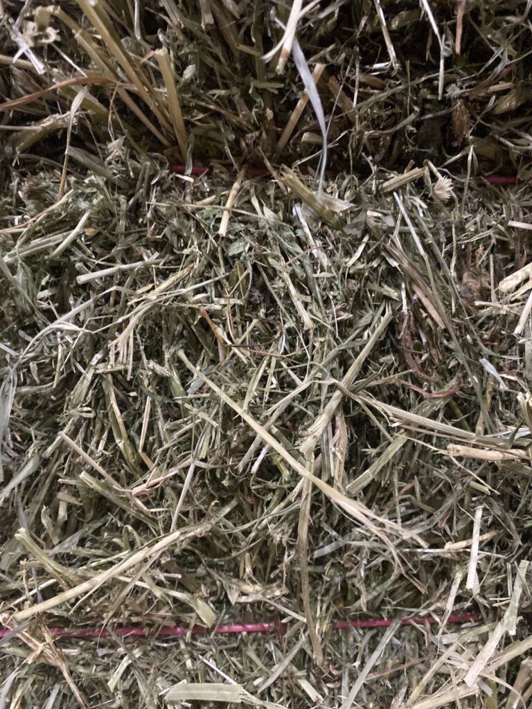 Hay Listings - AllHay.com