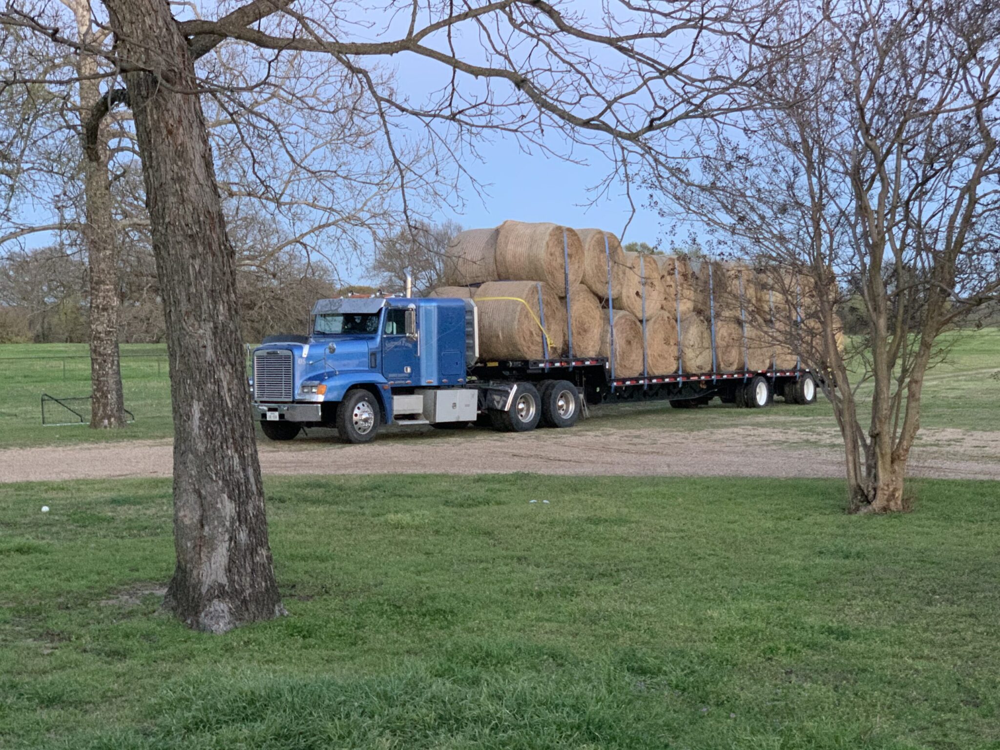 Hay For Sale in Texas - AllHay.com