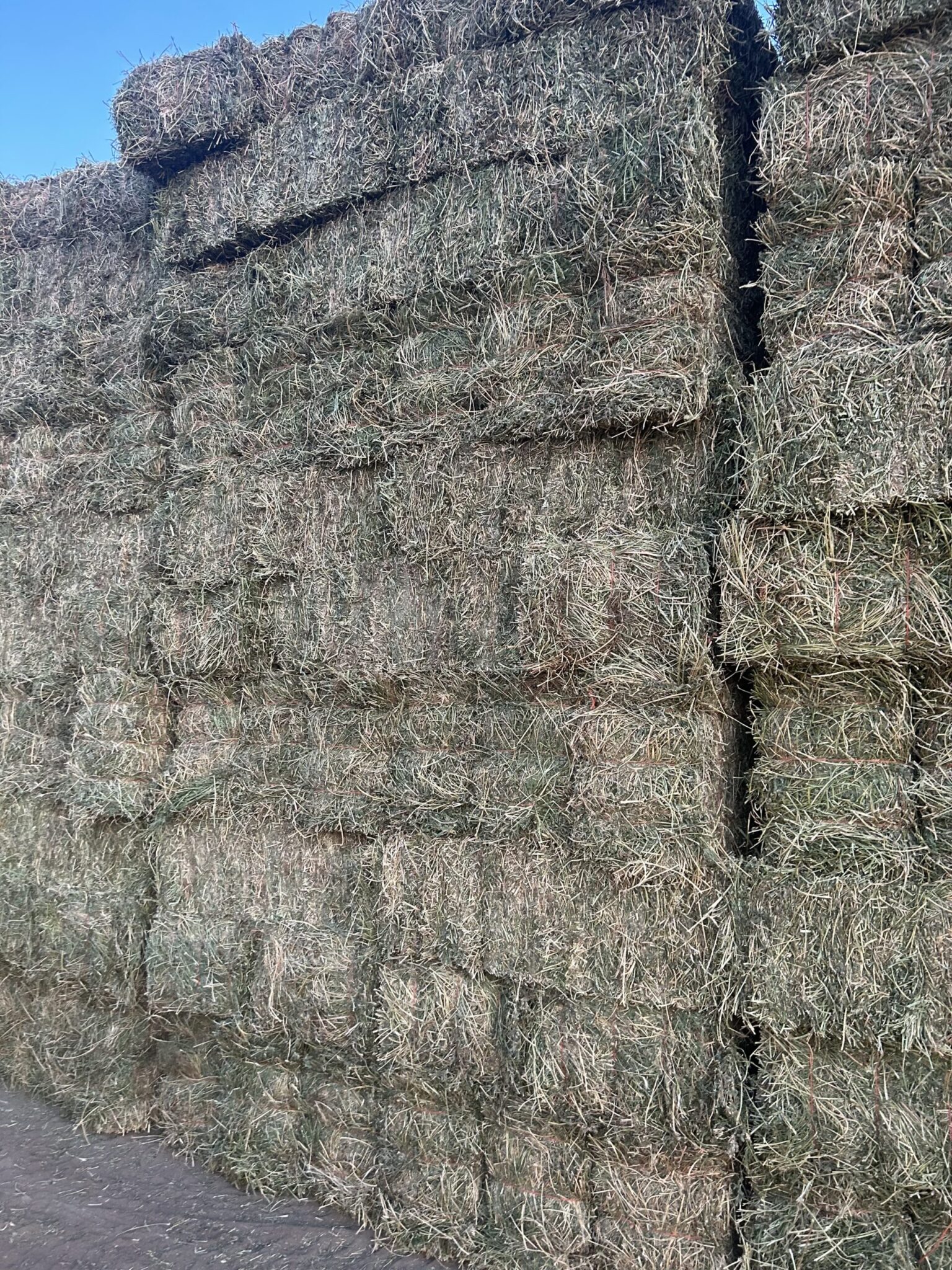 Hay For Sale in California - AllHay.com
