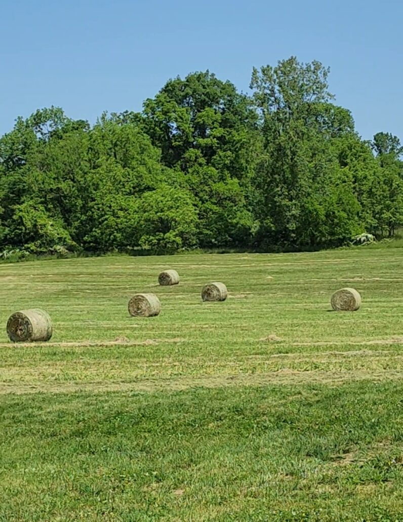 Hay For Sale in Ohio - AllHay.com