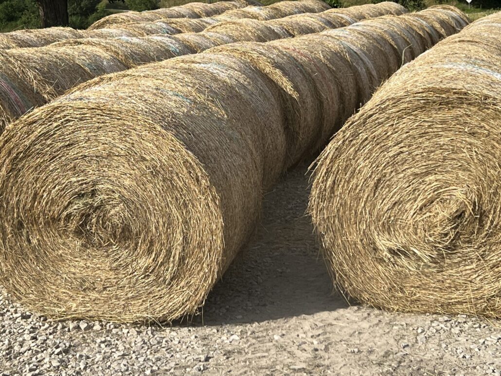 Hay For Sale in Ohio - AllHay.com