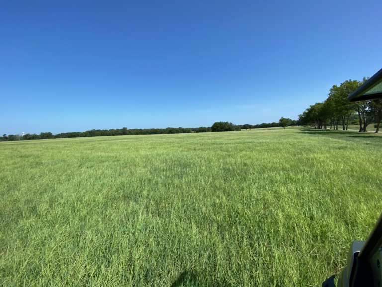 Bermuda Grass Hay For Sale | Allhay.Com