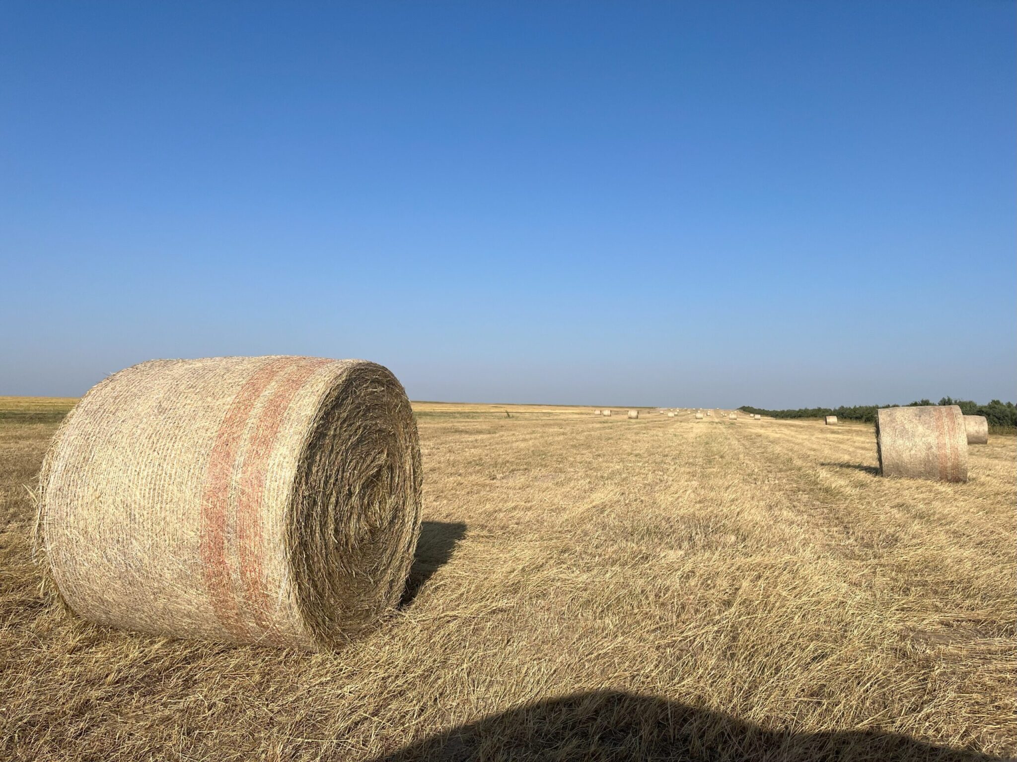 Hay For Sale in Texas - AllHay.com