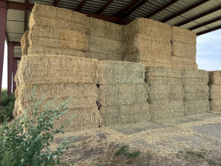 Oat Hay For Sale | Allhay.Com