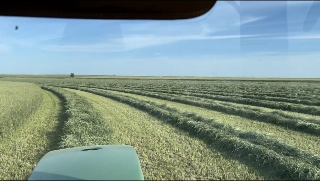 Hay For Sale in Texas - AllHay.com