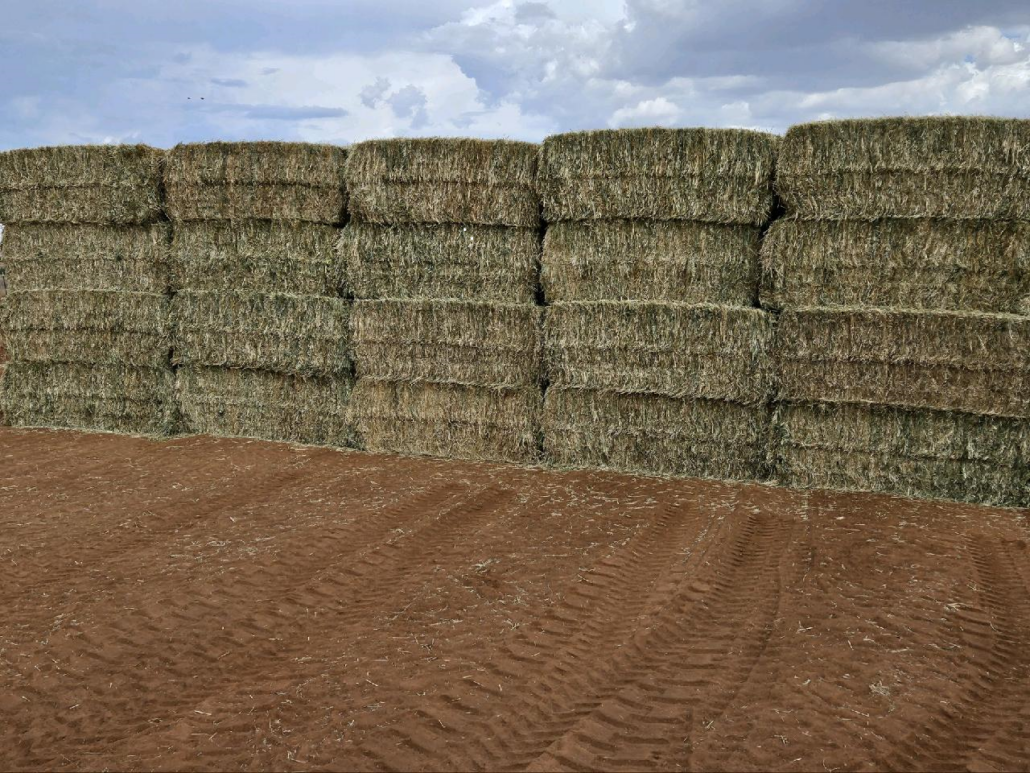 Hay For Sale in Arizona - AllHay.com