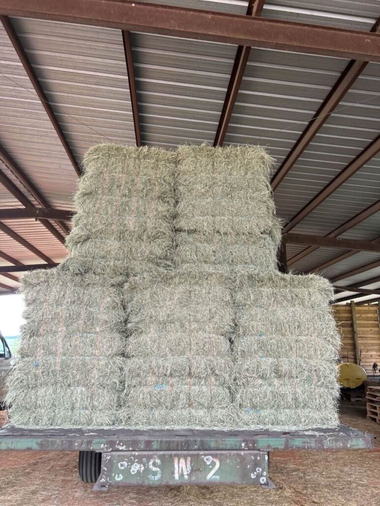 Bermuda Grass Hay For Sale | Allhay.Com