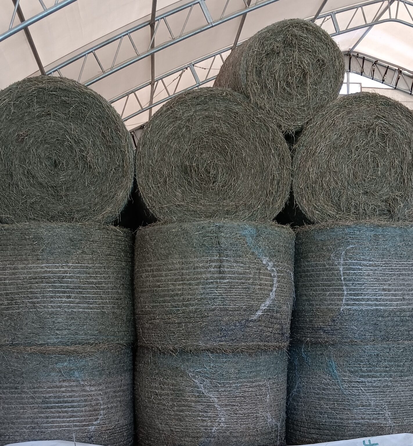 Hay For Sale in Ohio - AllHay.com