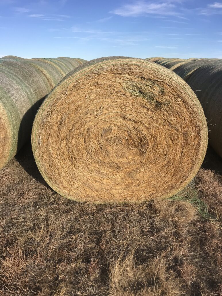 Oat Hay For Sale | Allhay.Com