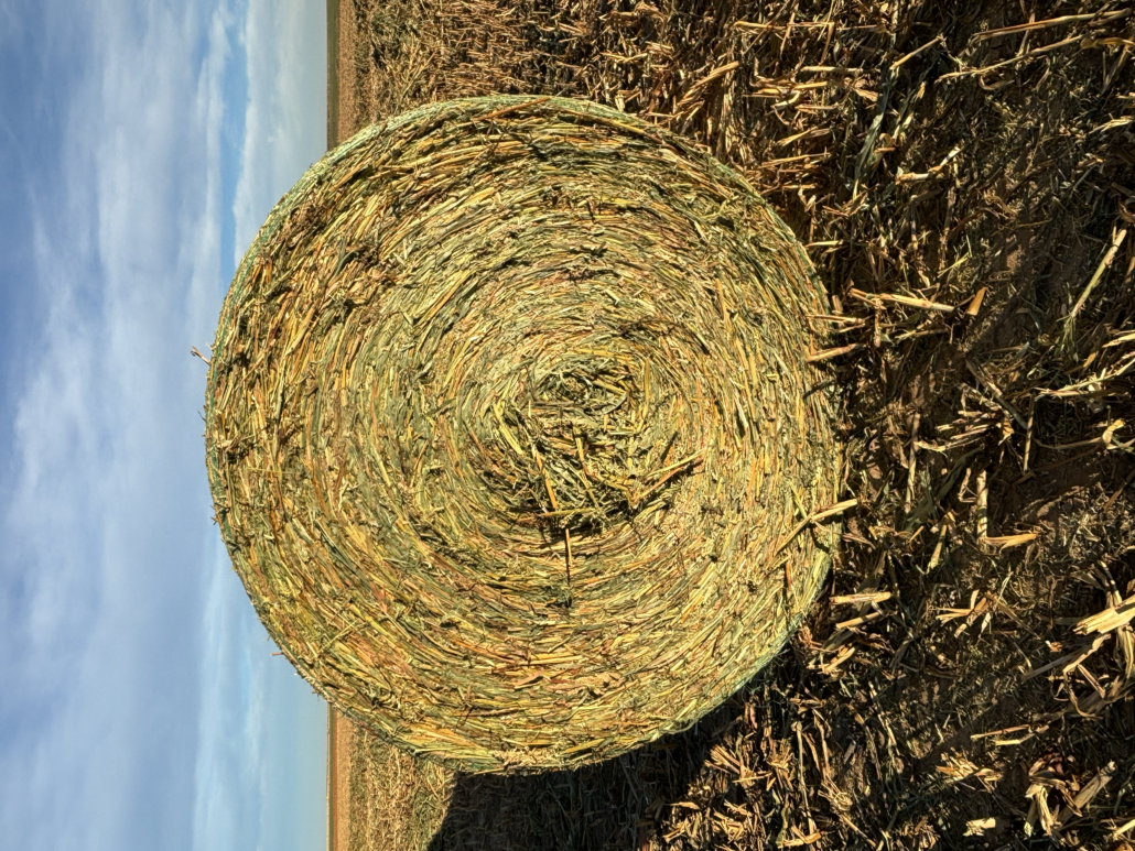 Hay For Sale in Colorado - AllHay.com