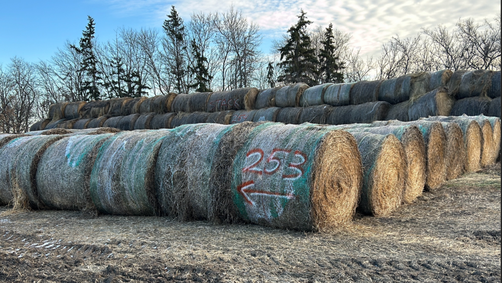 Hay Listings - AllHay.com