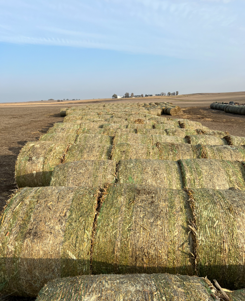 Hay For Sale in Iowa - AllHay.com