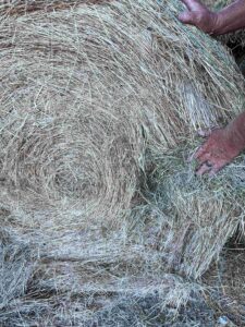 Hay For Sale in Texas - AllHay.com