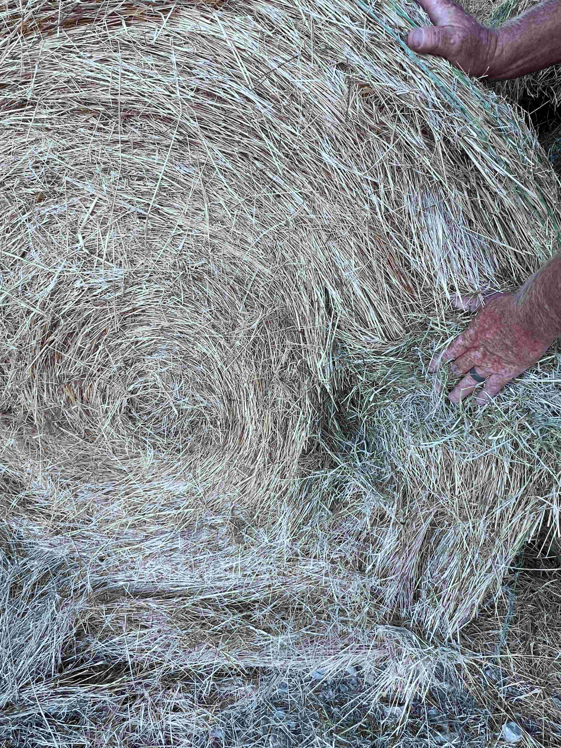 Hay For Sale in Texas - AllHay.com