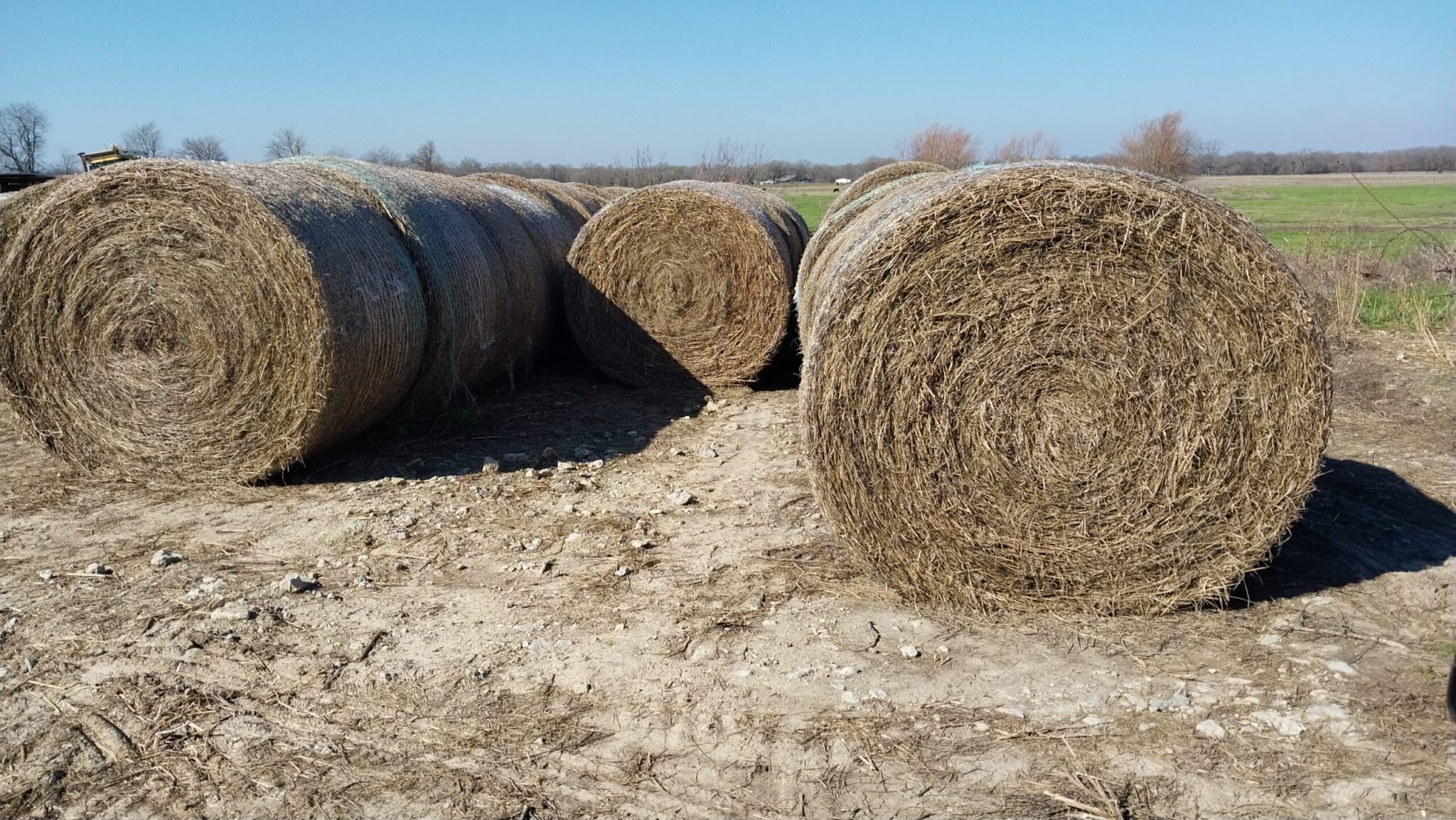 Hay For Sale in Texas - AllHay.com