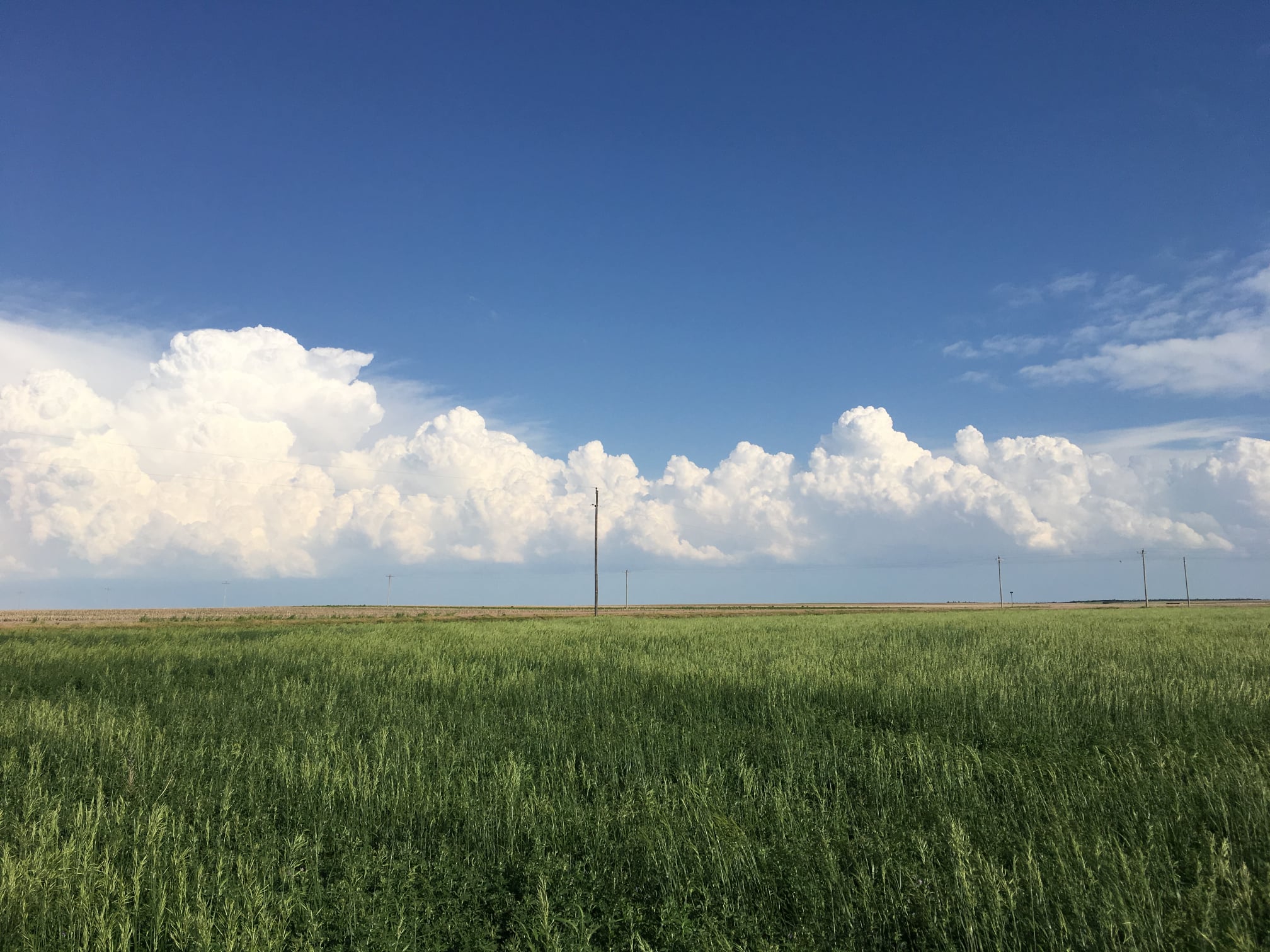 Hay For Sale in Arizona - AllHay.com